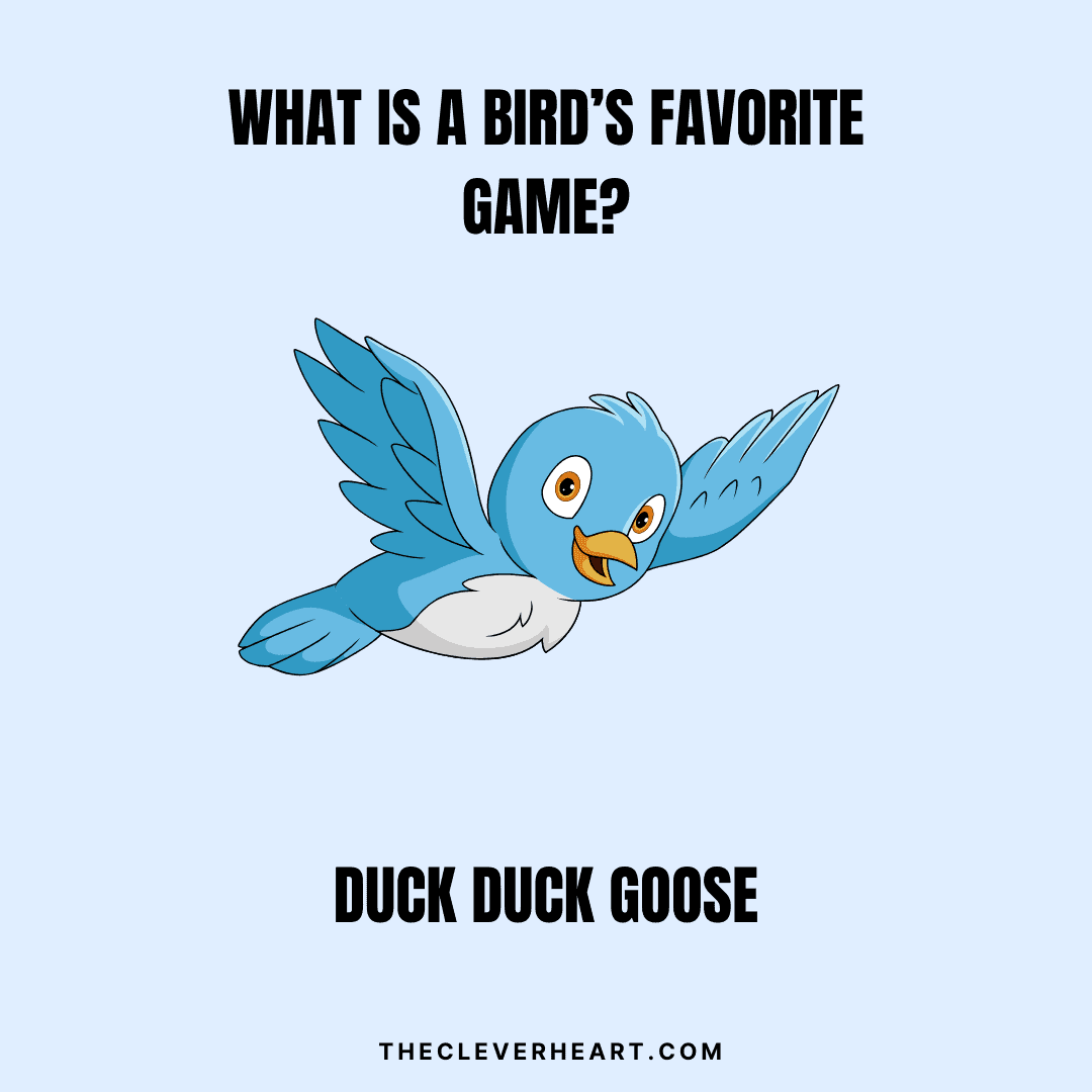 65 Funny Bird Puns to Make You Chirp with Laughter - The Clever Heart