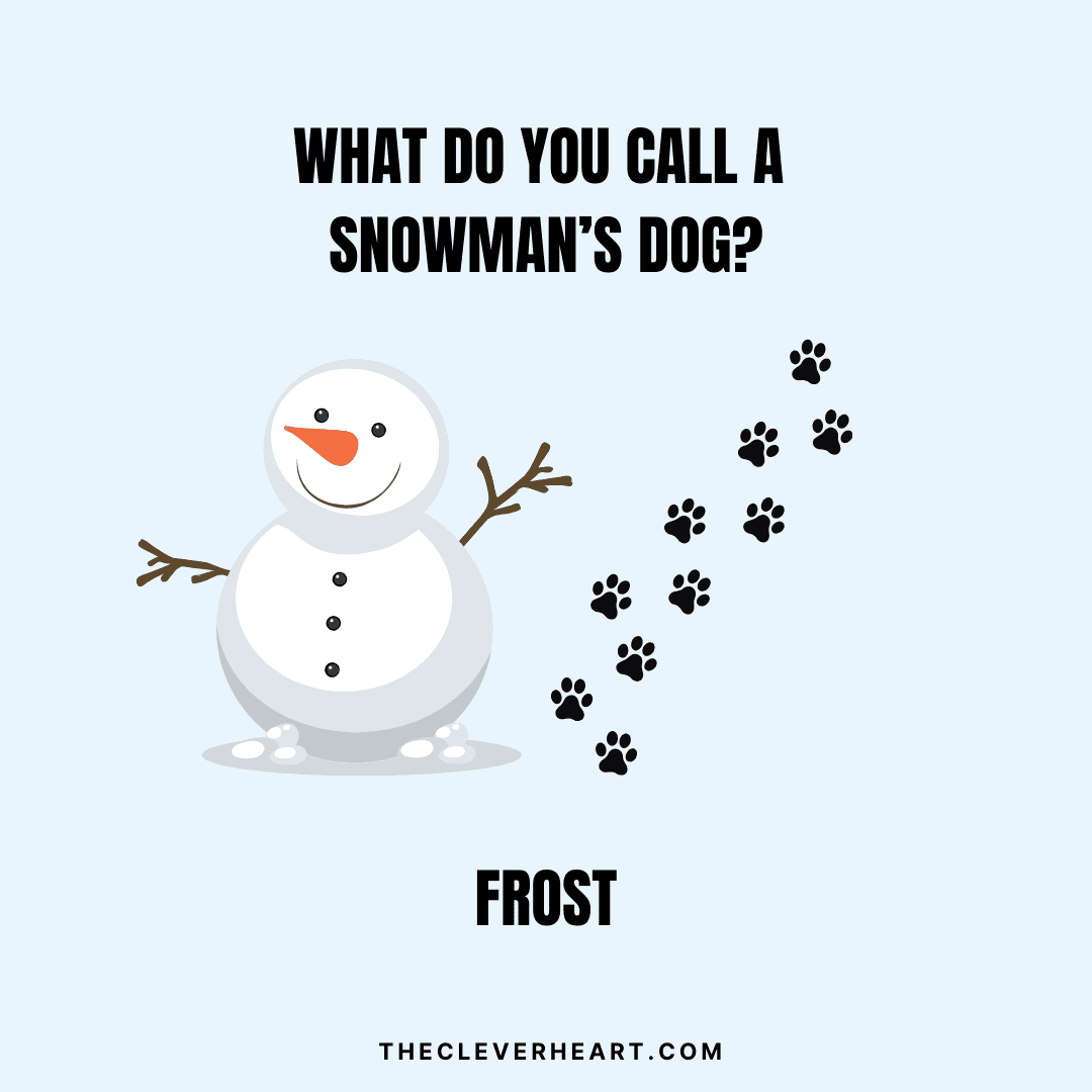 103 Funny Ice Puns That Will Leave You Melting with Laughter - The ...
