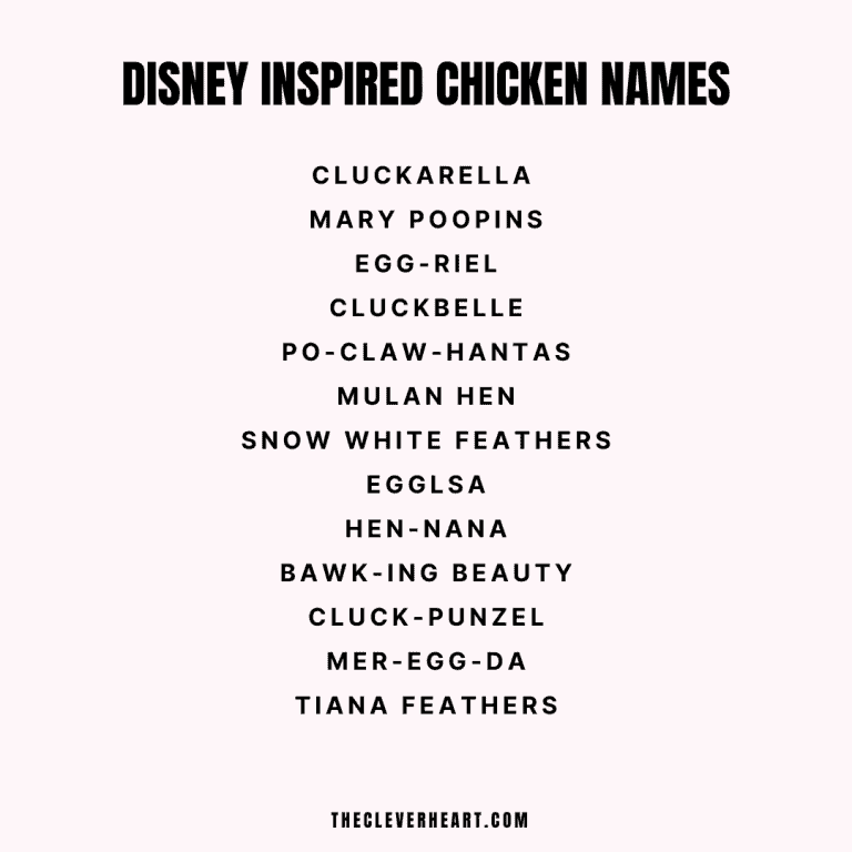 150 Funny Chicken Name Puns (Names for Your Flock) - The Clever Heart