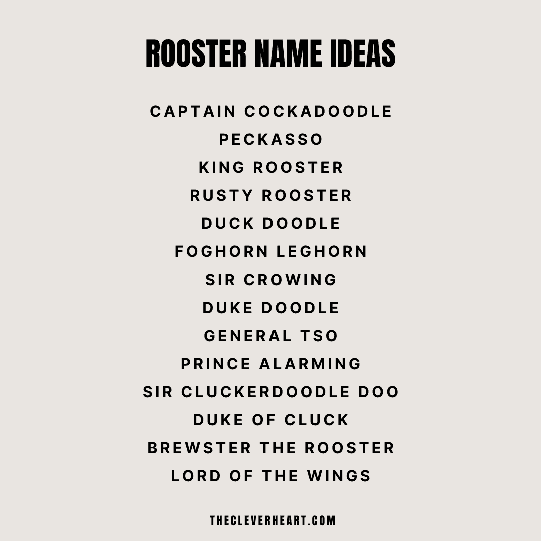 150 Funny Chicken Name Puns (Names for Your Flock) - The Clever Heart